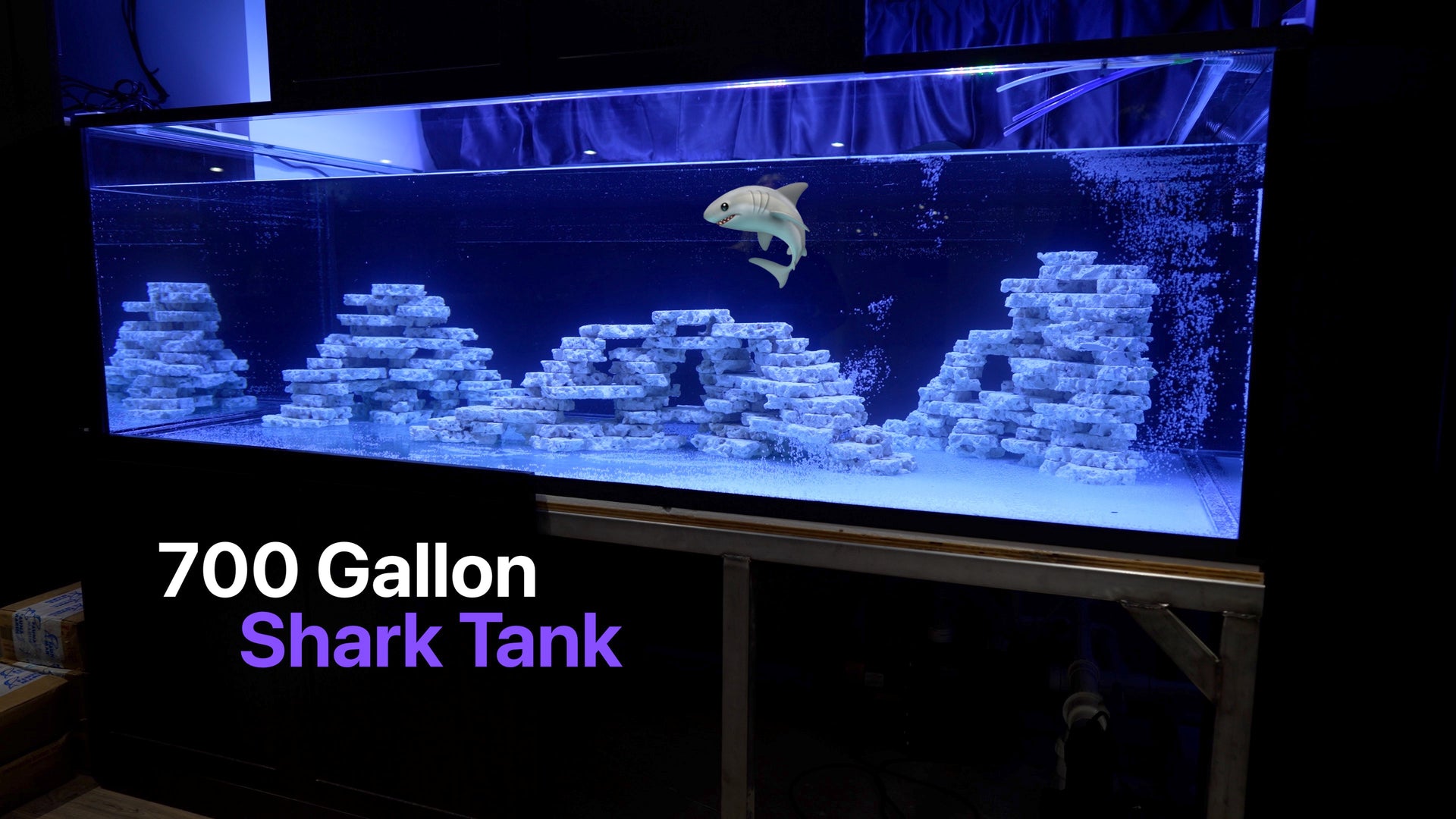 700 Gallon Shark Tank Progress Update – Treasure Corals